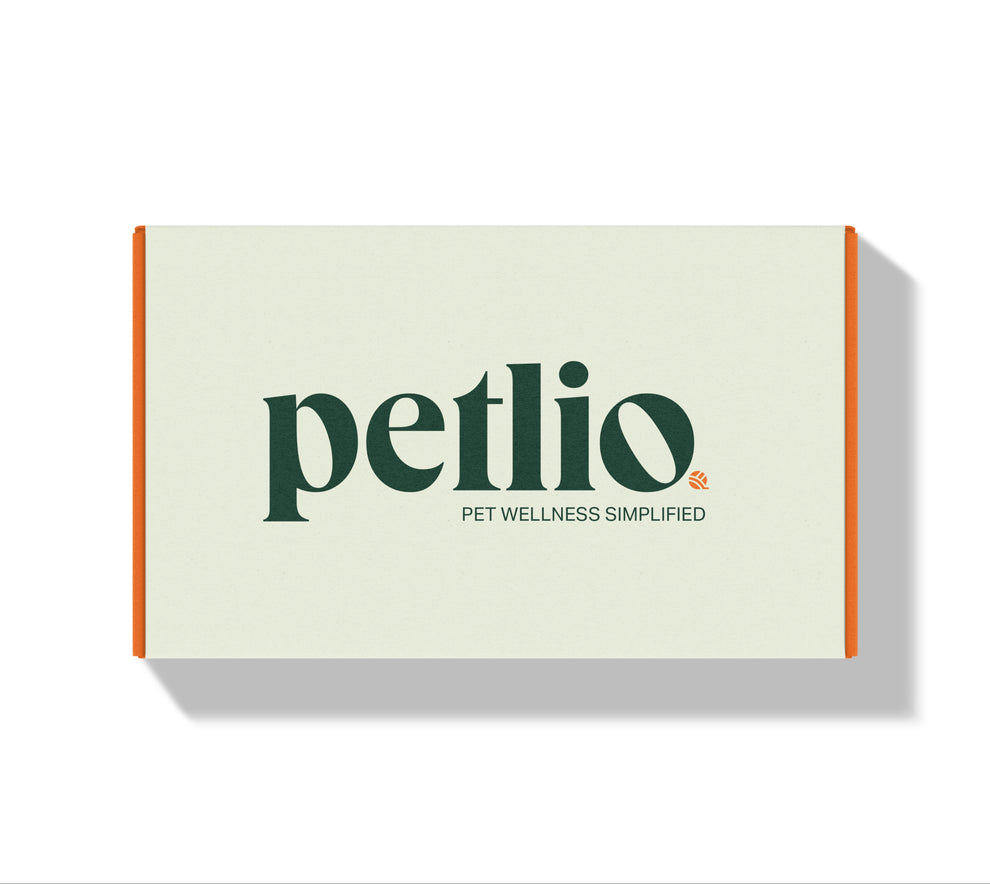 Fecal Parasite Test Cats | Petlio